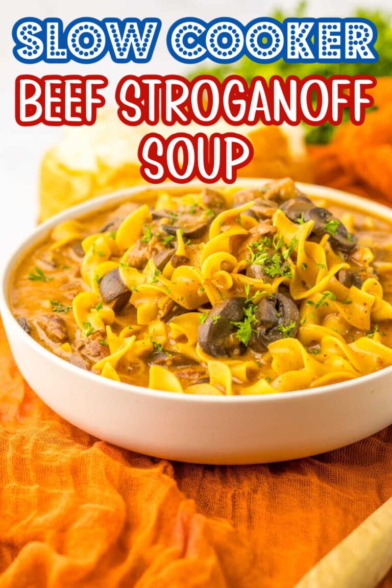 Slow Cooker Beef Stroganoff Soup - Life With The Crust Cut Off