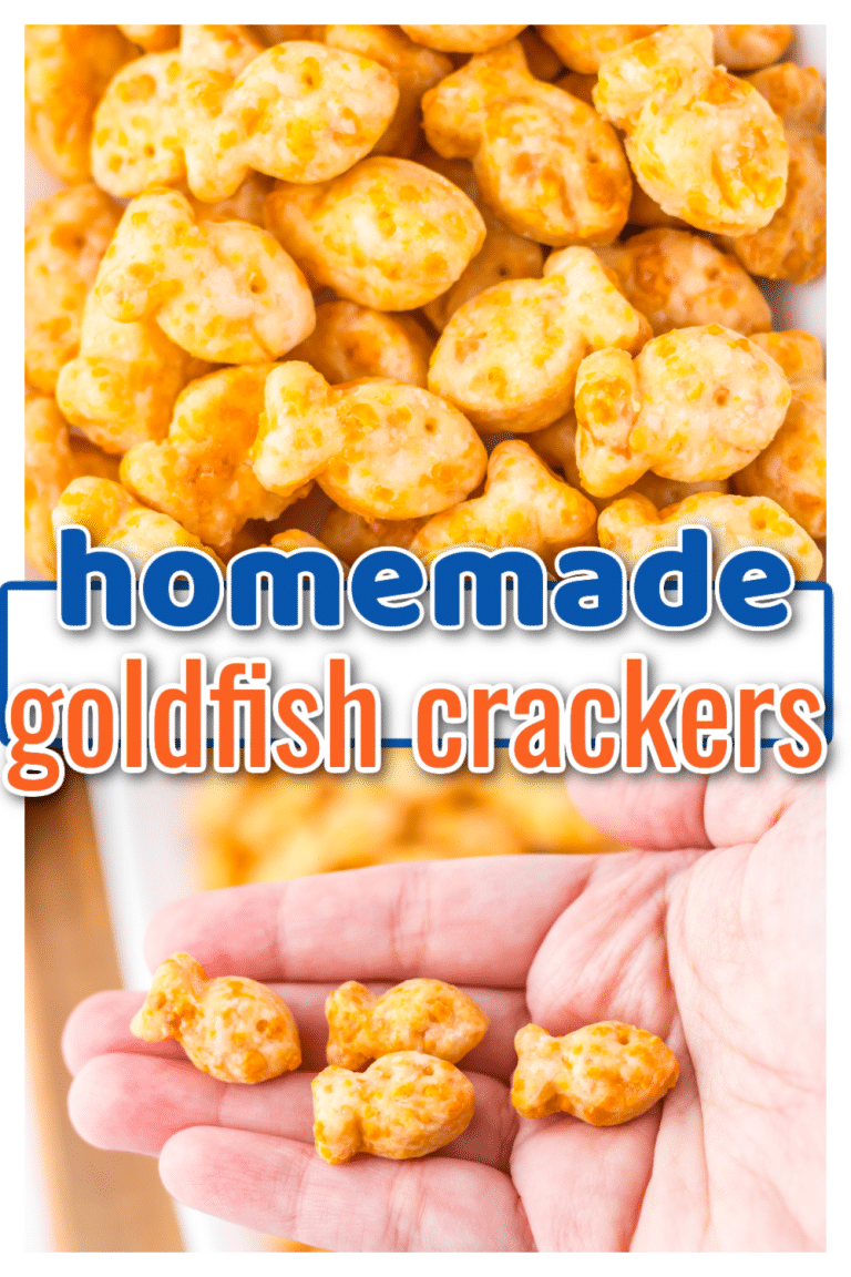 Homemade Goldfish Crackers - Life With The Crust Cut Off